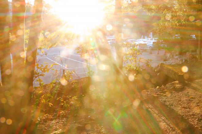 MARIRAプロデュースオンラインイベント 〜今、伝えたいシリーズ〜 『メッセージ』 2021年8月29日（オンライン・Youtube ...